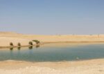 12+ Best Camping In Abu Dhabi Sites & Glamping In Abu Dhabi