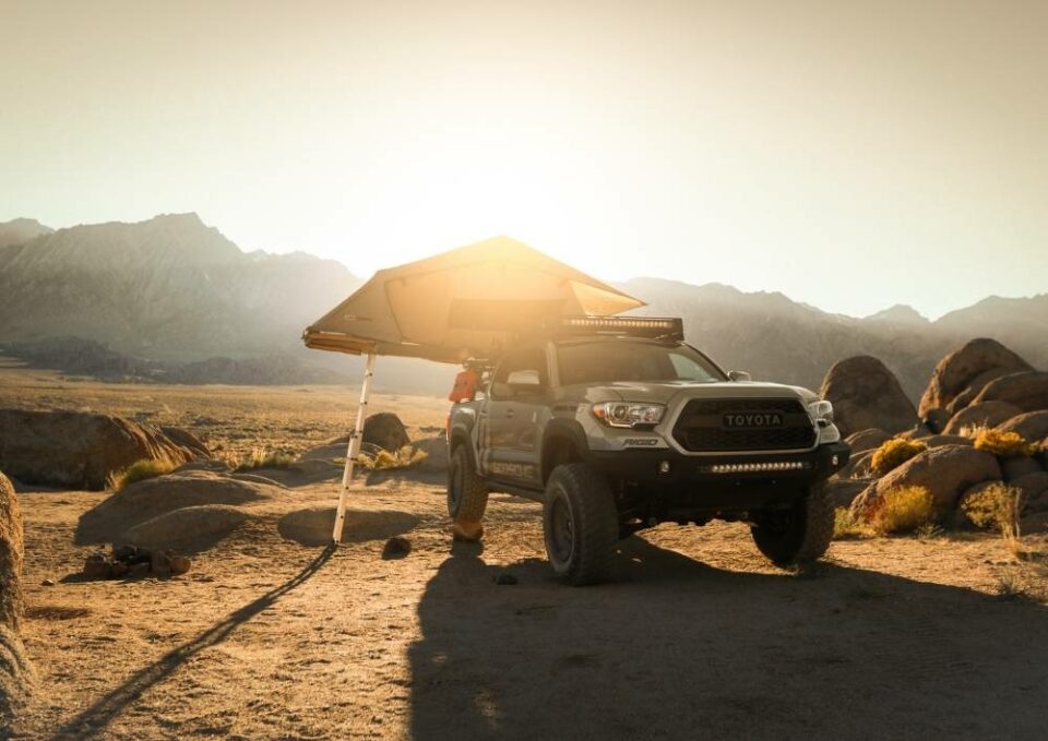 12+ Best Camping In Abu Dhabi Sites & Glamping In Abu Dhabi