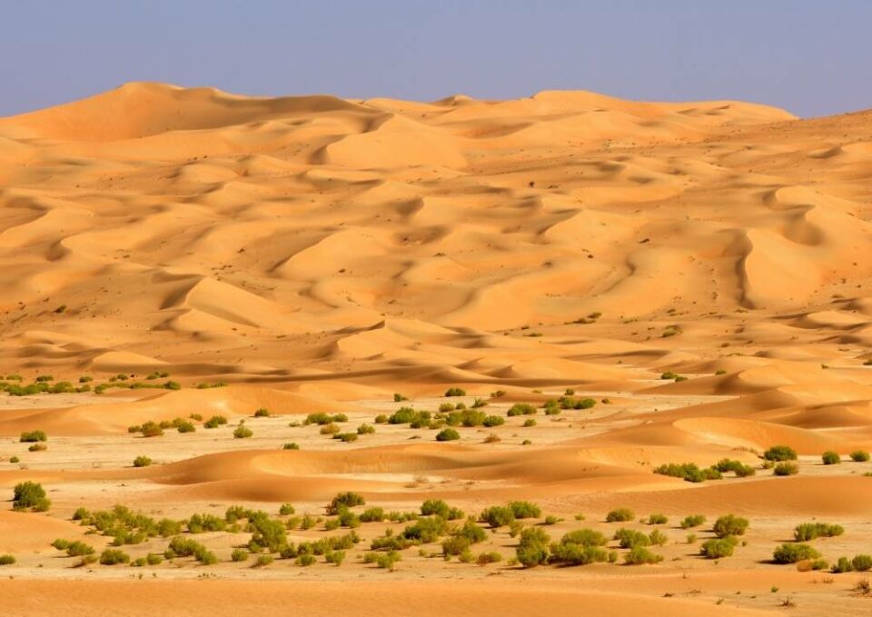 12+ Best Camping In Abu Dhabi Sites & Glamping In Abu Dhabi