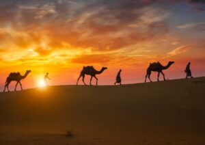 12+ Best Camping In Abu Dhabi Sites & Glamping In Abu Dhabi