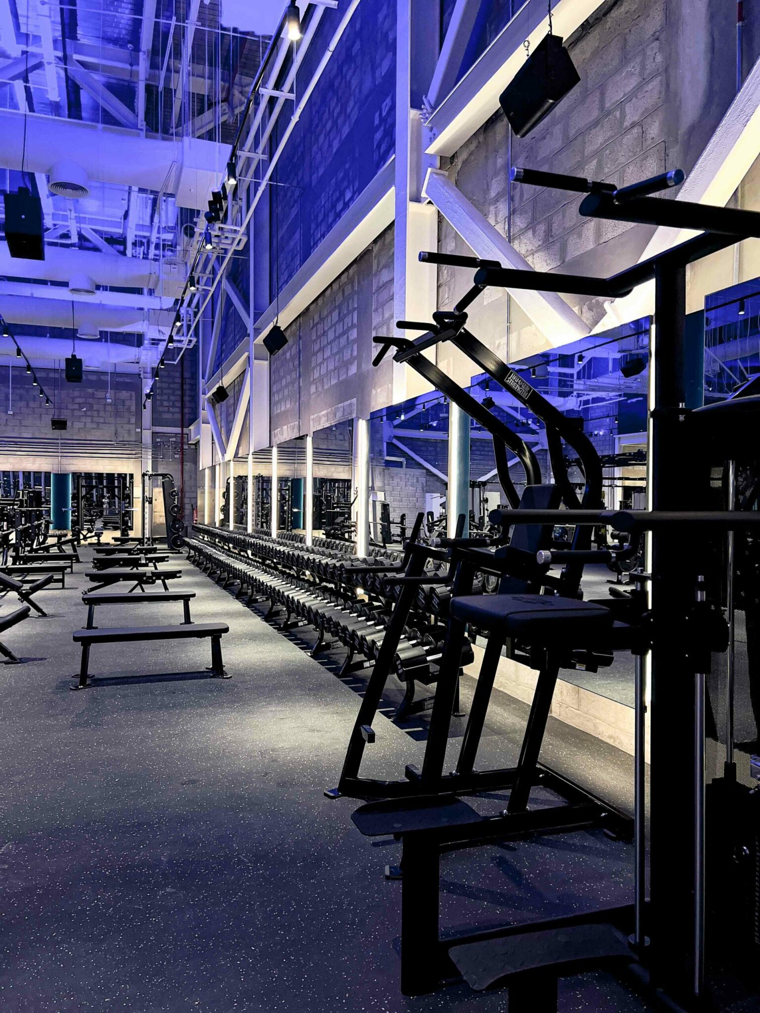 10+ Best Gyms In Abu Dhabi – Reviews & Membership 2025