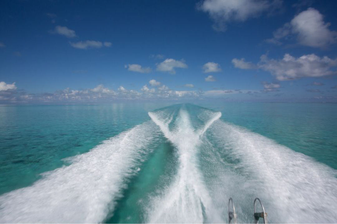 Best Abu Dhabi Boat Tours 2024 + Rentals Info, Licenses & Clubs